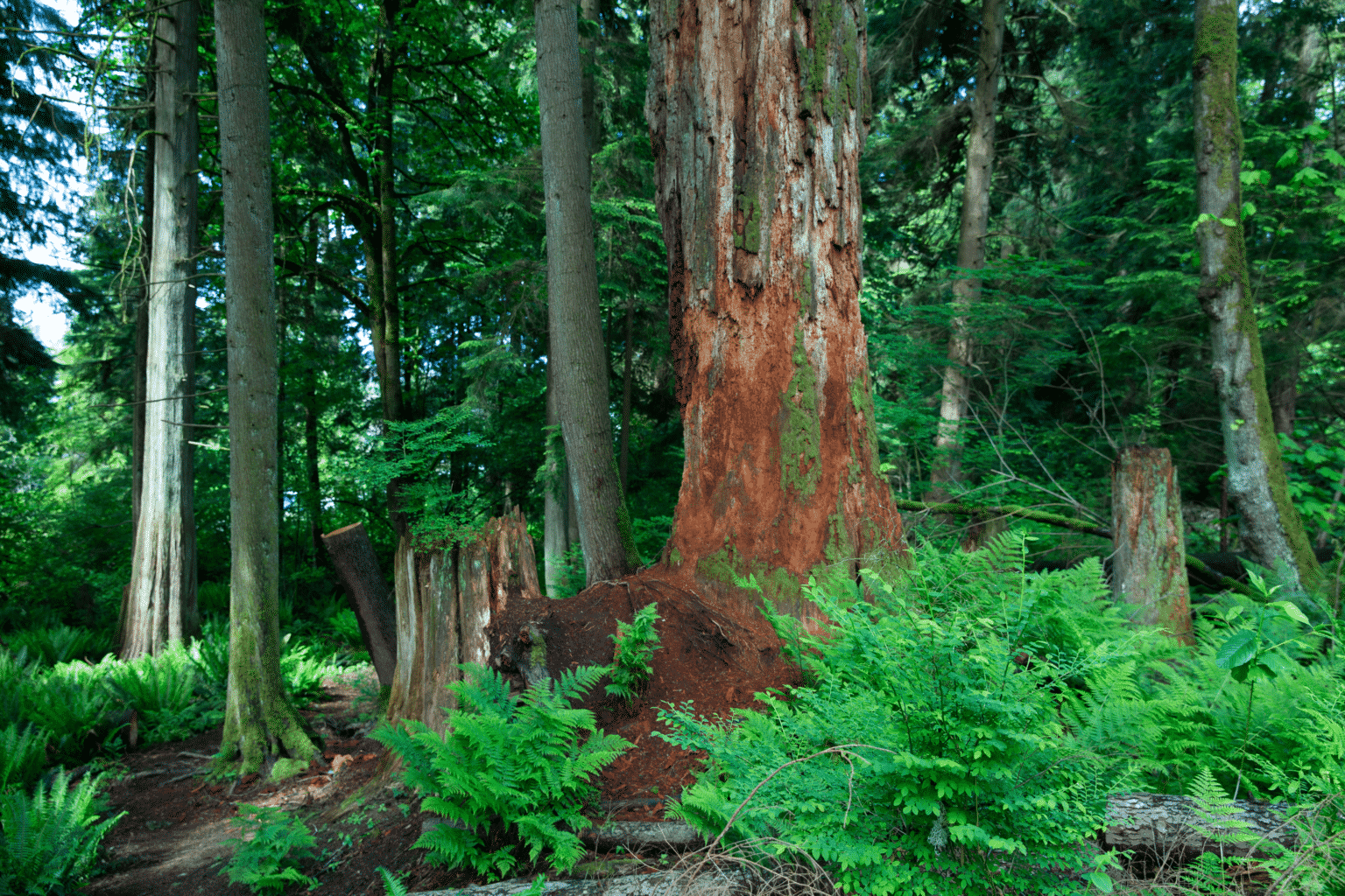 Home - Tsleil-Waututh Nation